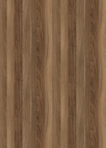 0811-RM-Cello_Ganzformatplatte | Speedmaster GmbH